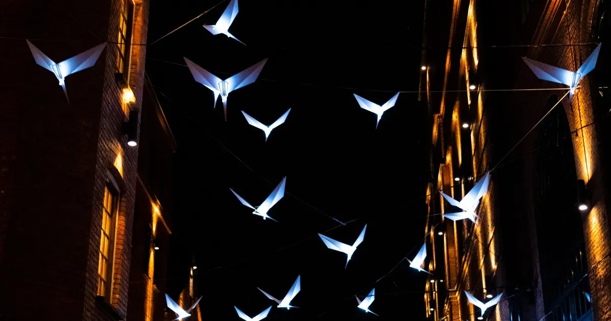 Fjord Oslo 2024 – Lyskultur